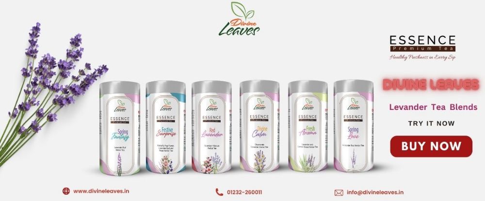 10 Amazing Health Benefits of Lavender Tea | Divine Leaves - Divine Leaves