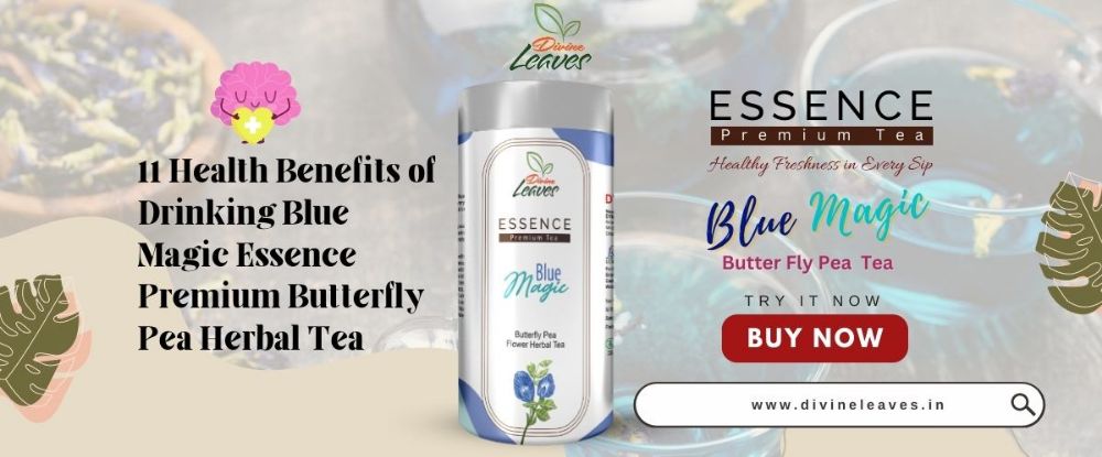 Health Benefits of Drinking Blue Magic Essence Premium Butterfly Pea ...